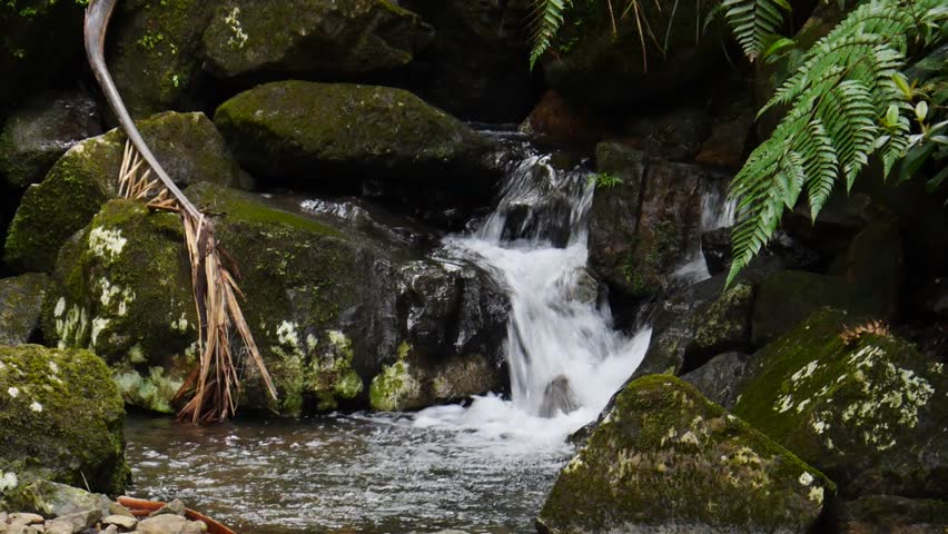 Haleakala National Park, Seven Pools River Hana In Maui, Hawaii ...