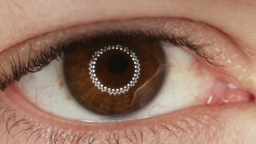 Slow Motion Macro CU Eye Iris Pupil Contracting ,light Reflected.500 ...