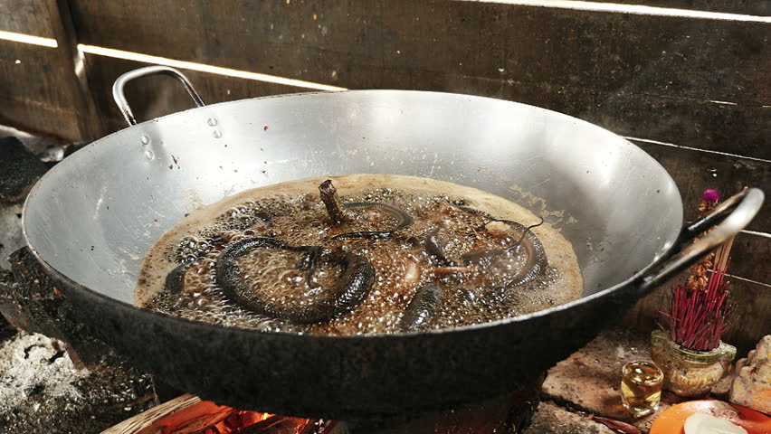 Cooked Snake