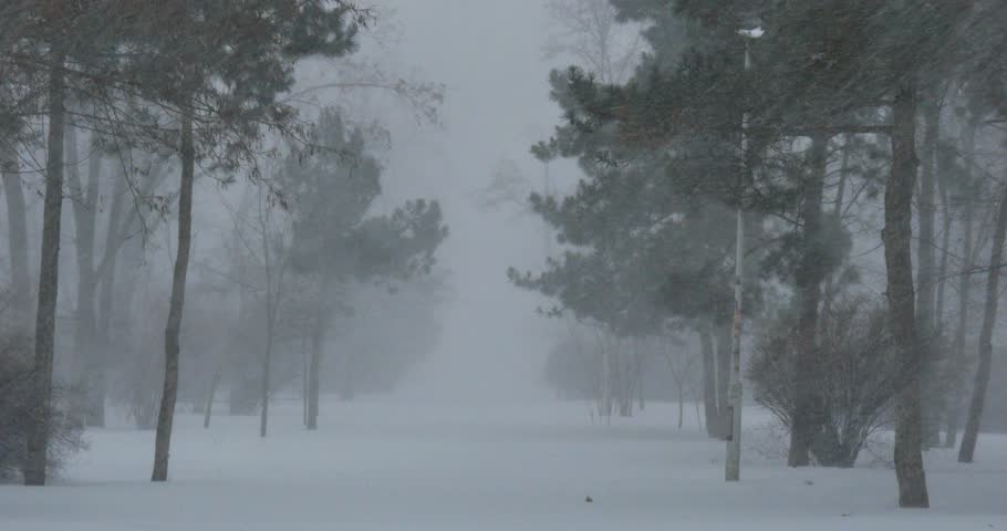 Stock video of 4k uhd. heavy snow and blizzard | 8504329 | Shutterstock