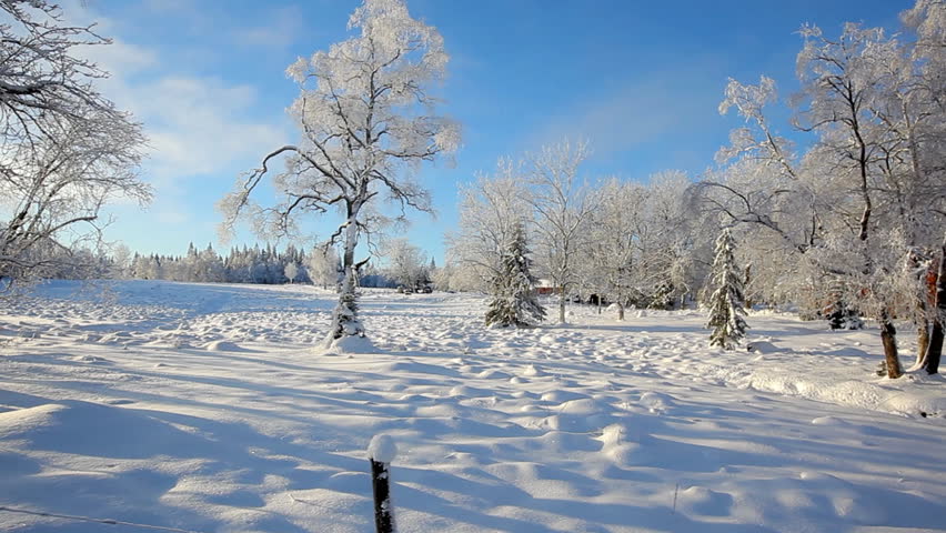 Winter Background Stock Video Footage - 4K and HD Video Clips ...